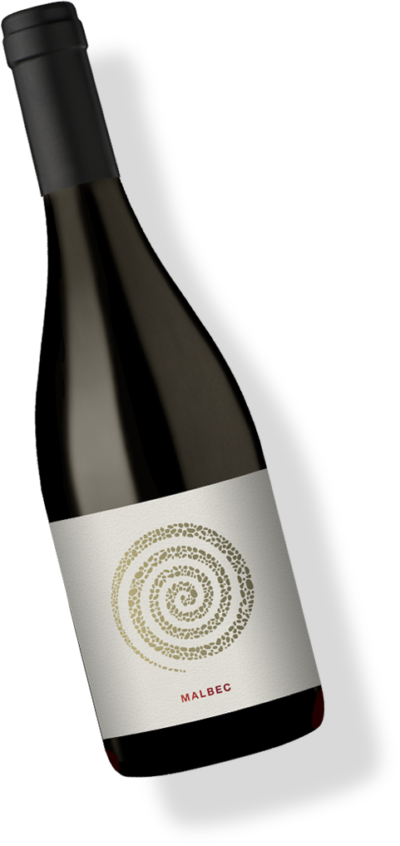 Bodega Amalaya & Wine Bar